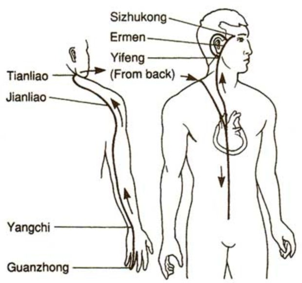 5 Common Causes Of Bumps Red Spots And Skin Rashes According To Traditional Chinese Medicine